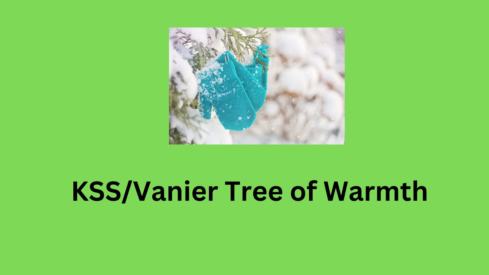 Decorate the KSS/Vanier Tree of Warmth - Kingston Secondary School